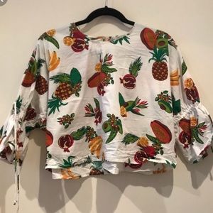 Zara | Tops | Zara Fruit Top | Poshmark